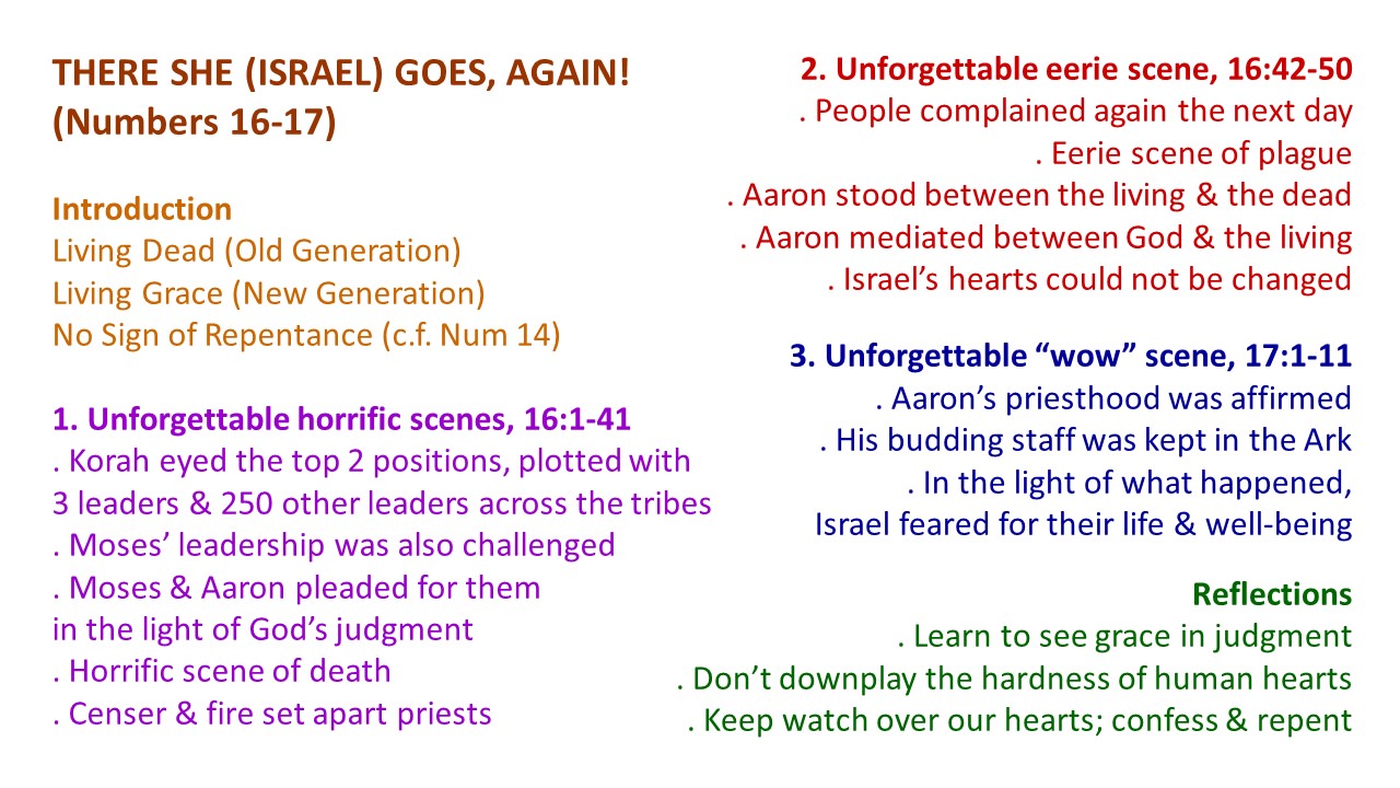 Num 16-17 (MikeYong) – Bible Study Resources