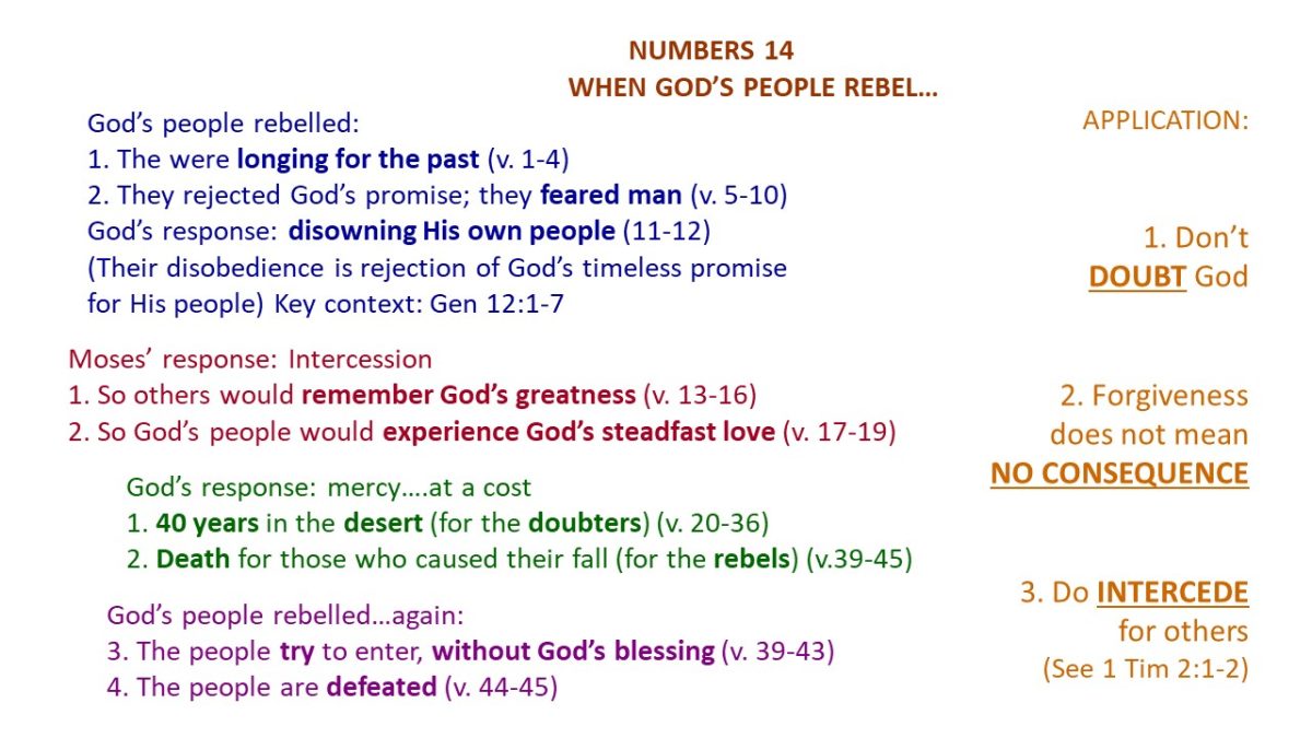 Num 14 (KennyLee) – Bible Study Resources